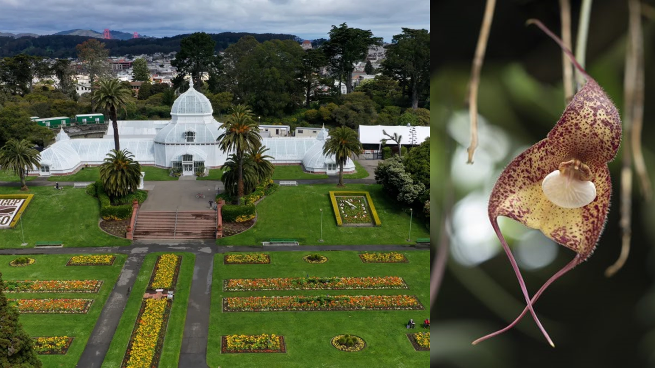 5 Free Ongoing Cultural Programs in San Francisco - ITH Hostels