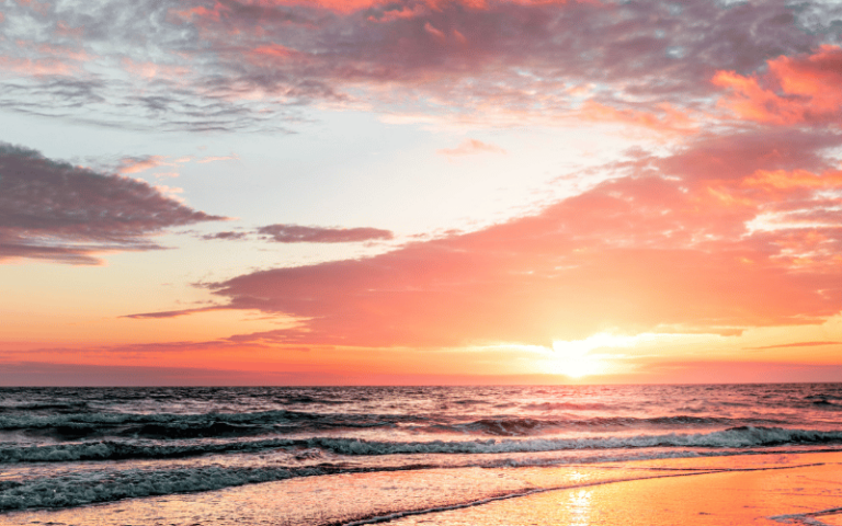 The Best San Diego Sunset Spots - International Travelers House