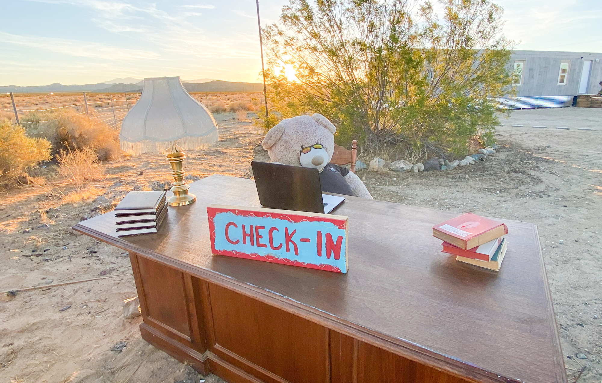 Everything to Know About the Joshua Tree Half Marathon - International ...