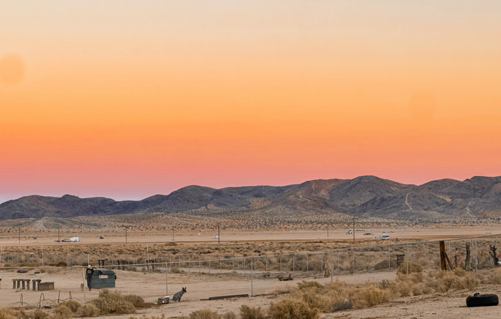 Visiting Joshua Tree in Spring Tips - ITH Hostels