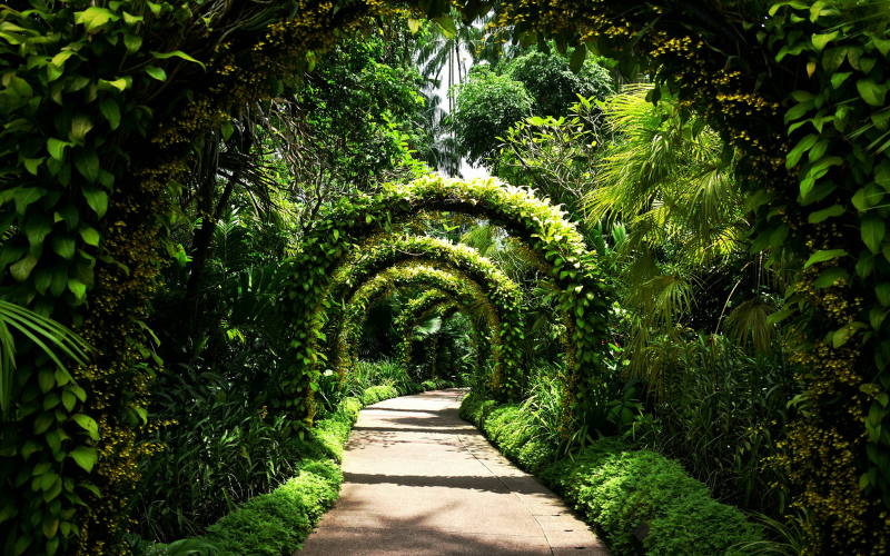 Botanical Gardens Near Santa Barbara - ITH Hostels
