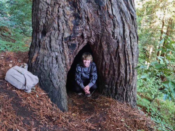 San Francisco - ITH Hostels